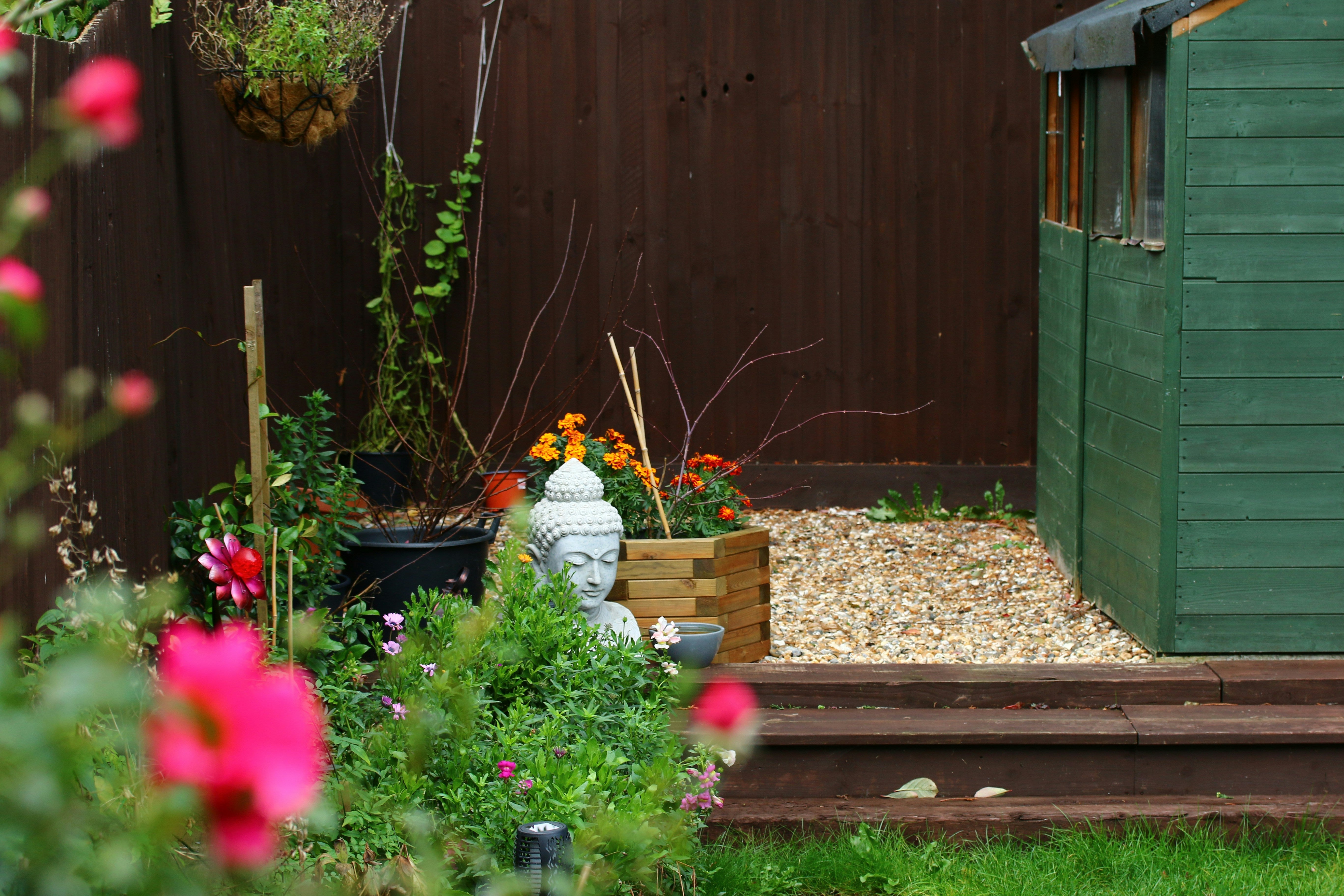 Why Aromatherapy Gardens are the Next Big Thing | Luxus Home Garden